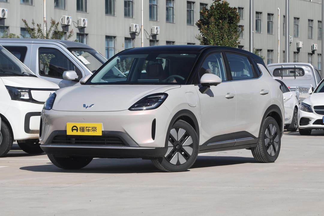 Comparing domestic brand pure electric small family cars, how to choose ...