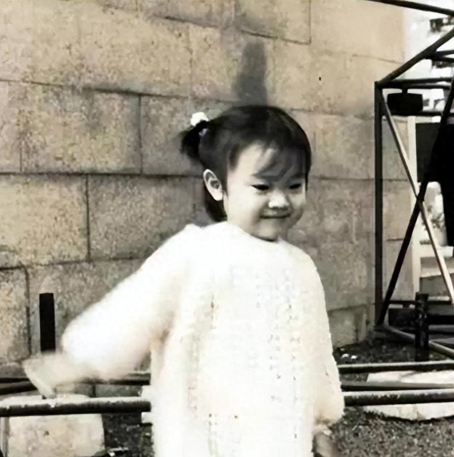 Zhang Jin's “love rival”? Being slapped by Li Lizhen? Was pursued by 7 ...