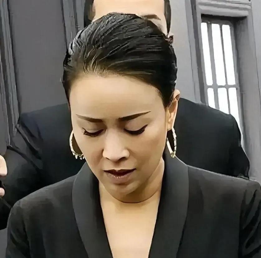 Tax evasion: Na Ying, Deng Chao, Yue Yunpeng, Feng Xiaogang, Qin Lan, Lu Han, Wu Jing, etc. - iMedia