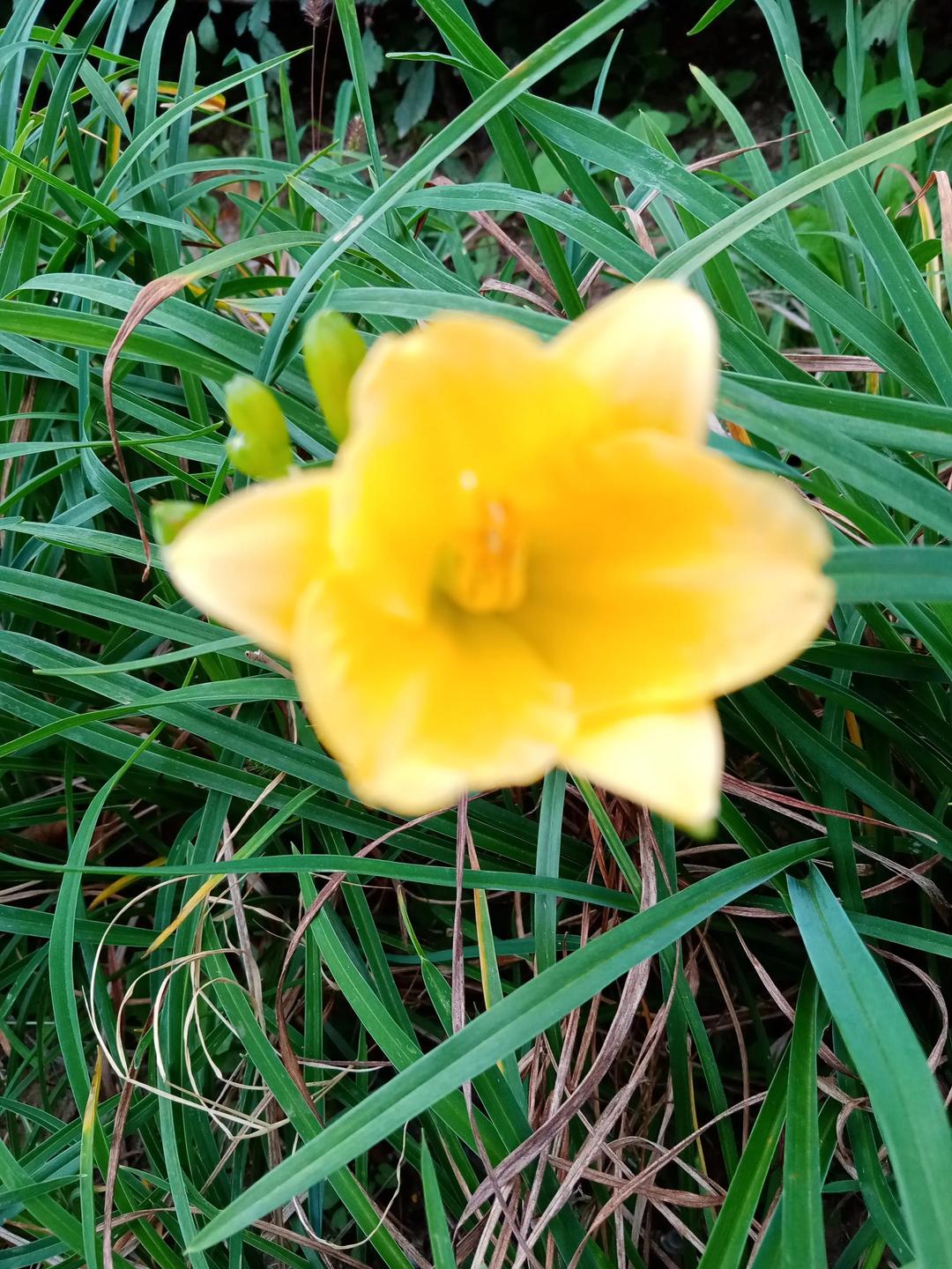 The ten most influential songs in the Chinese music scene! You've heard ...