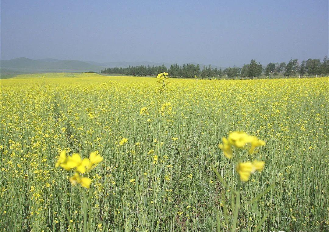 Why was Rehe Province established? - iMedia