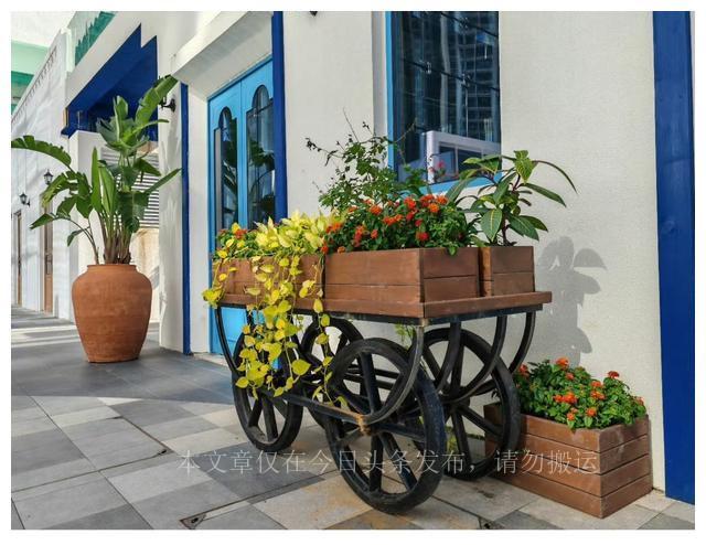 Not bragging, I've been using Honor 100Pro for 9 days. Let's talk about the experience. - iMedia