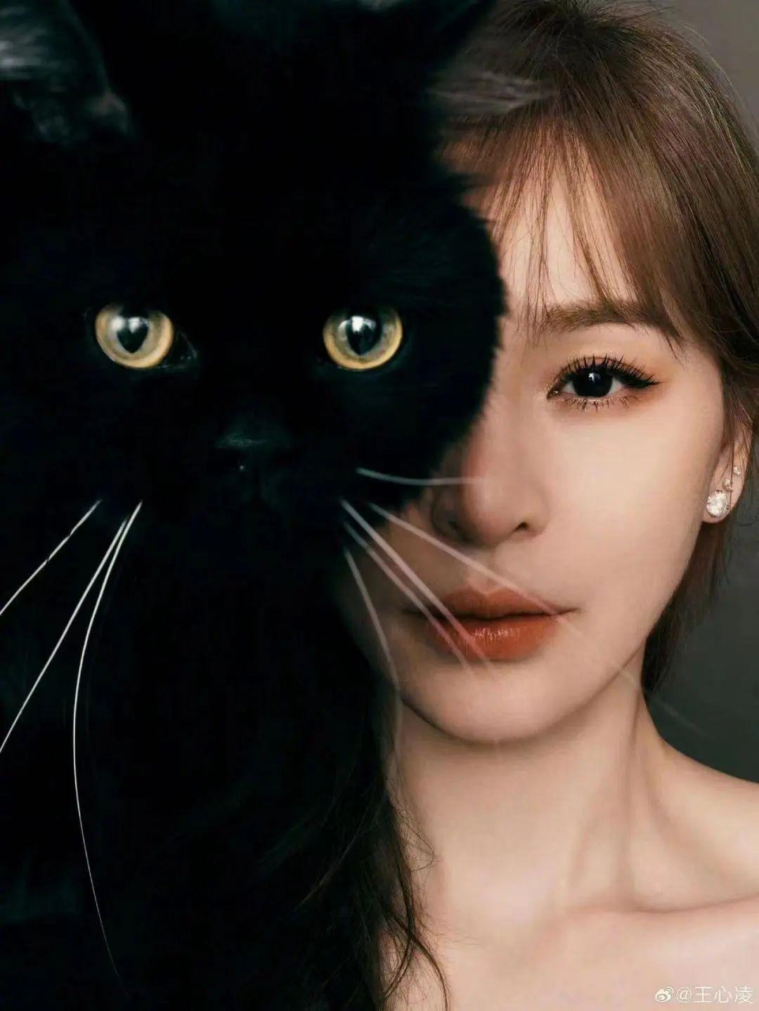 Cyndi Wang's new song "BITE BACK" is online, the music style is trendy ...