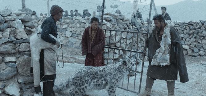 "Snow Leopard" premieres in Venice: Will continue to shine on the ...