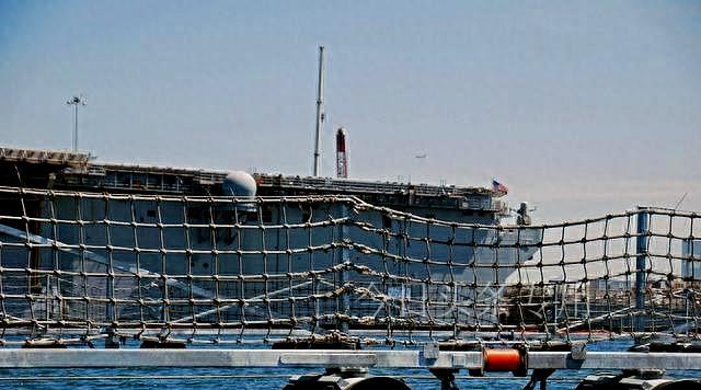 Cuteness lasts a lifetime, the smallest active tugboat in the U.S. Navy ...