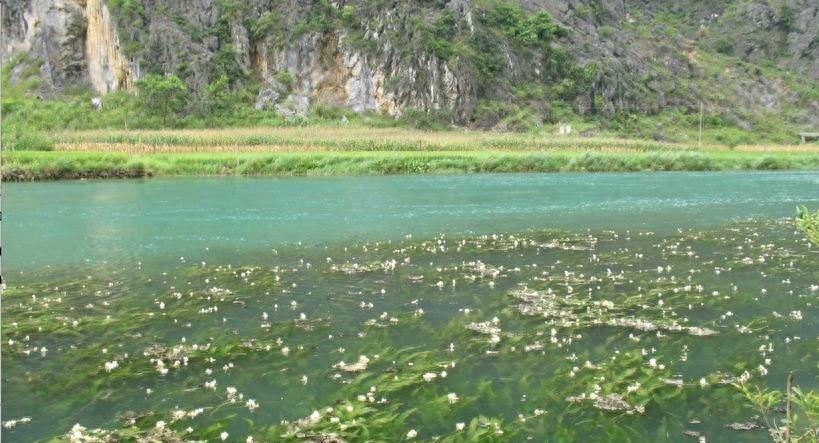 Promote the healthy development of ecosystems by studying the ...