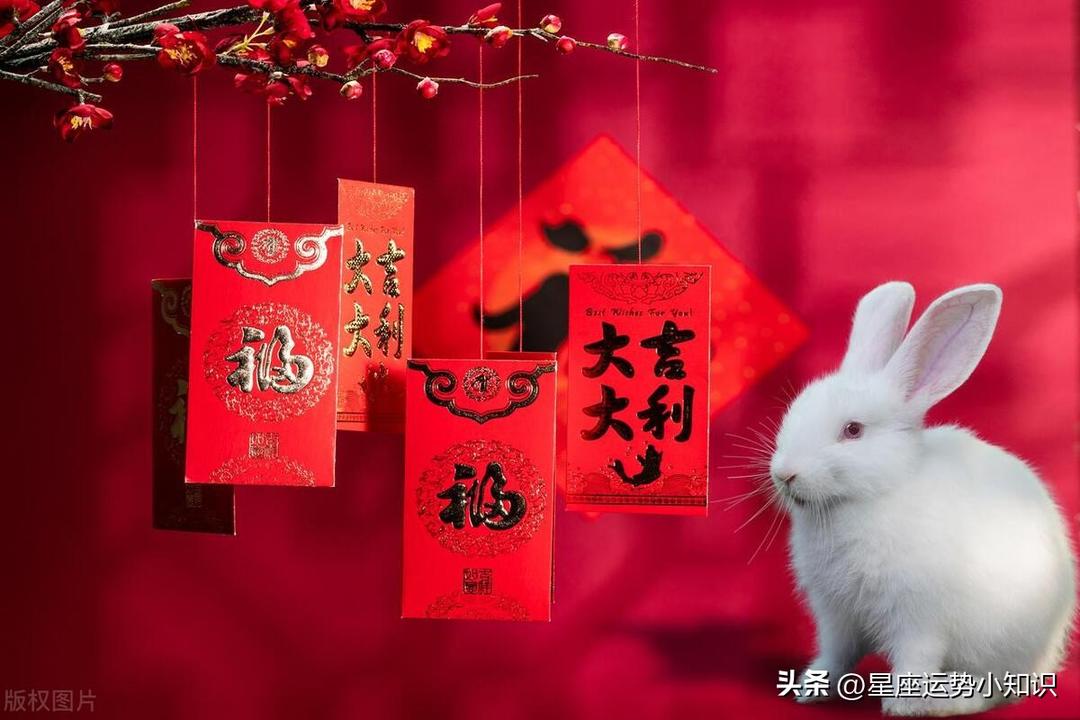 Nine out of ten rabbits suffer, which month is the rabbit born in the ...