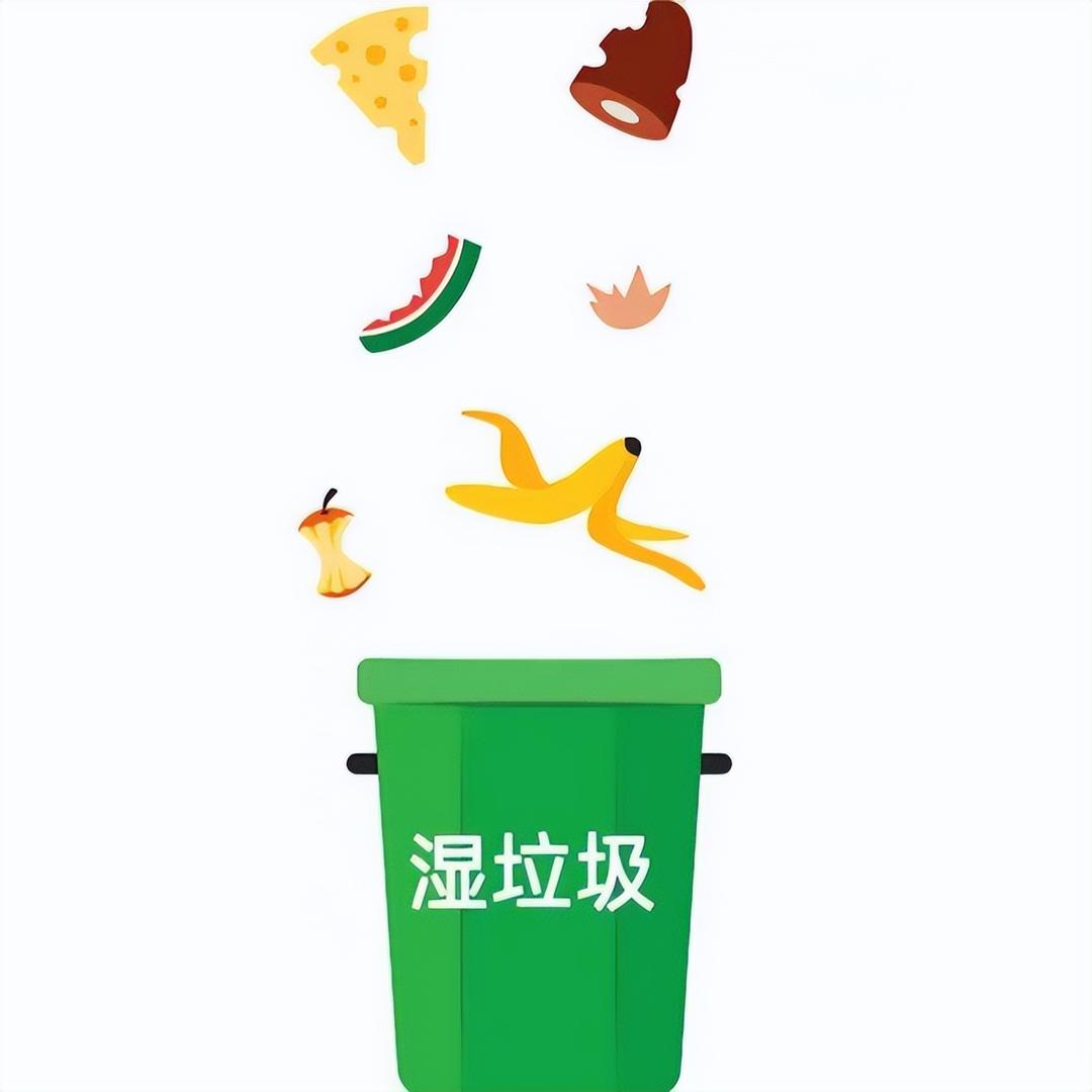 Do you know the dangers of wet garbage? - iMedia