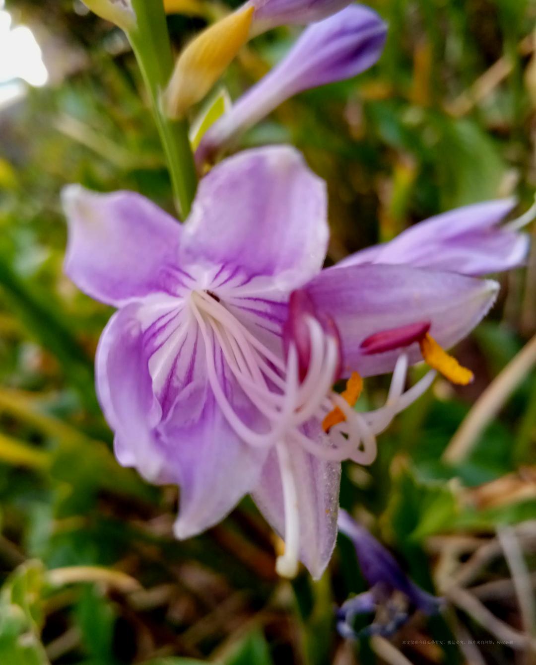 Thirty years in the music industry, among these ten singers who have ...