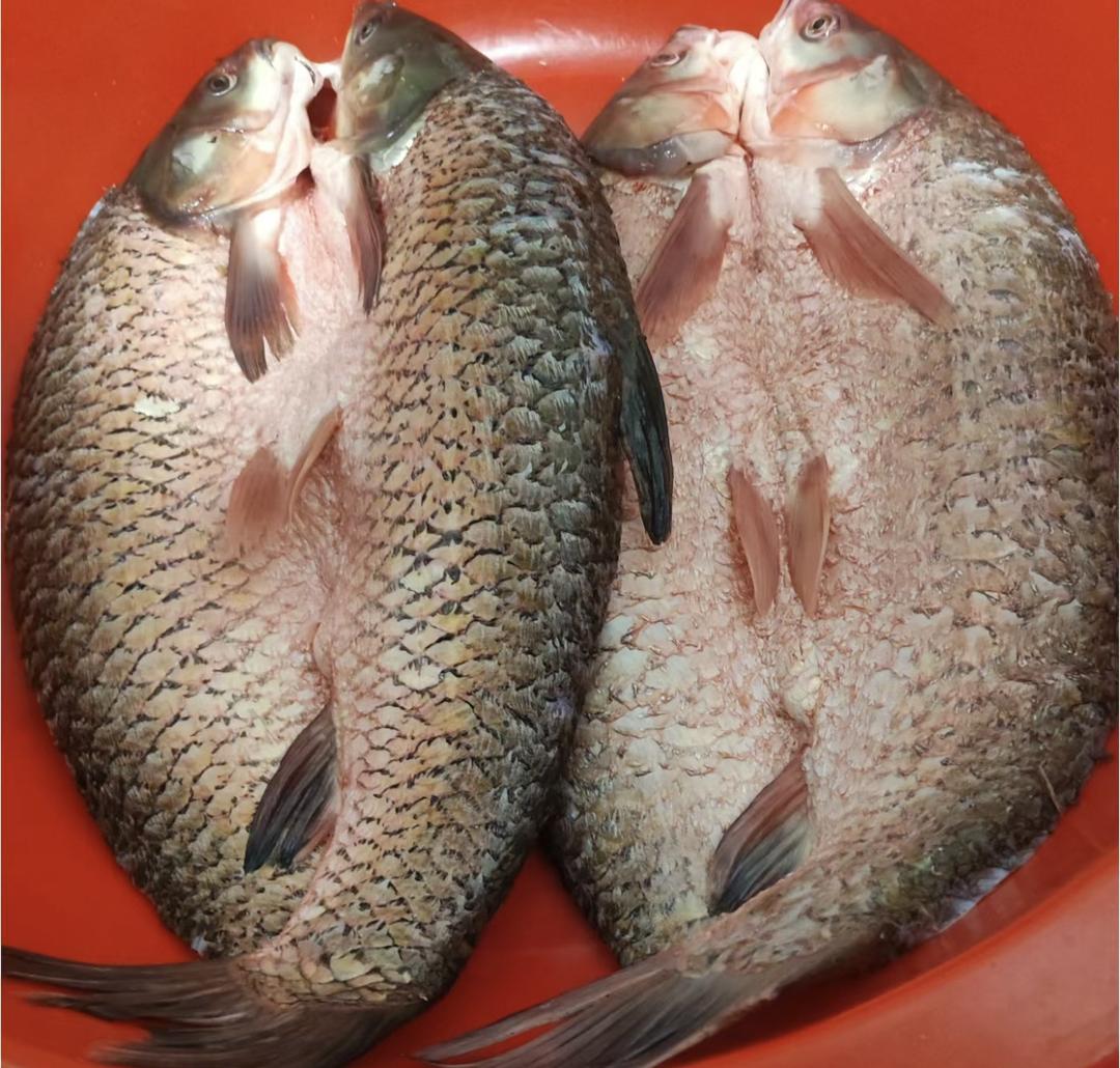 The first step to pickling cured fish is not to apply salt. If you want ...