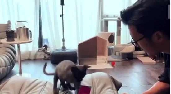 Show off the mansion where Nicholas Tse lives now. The walls of the ...