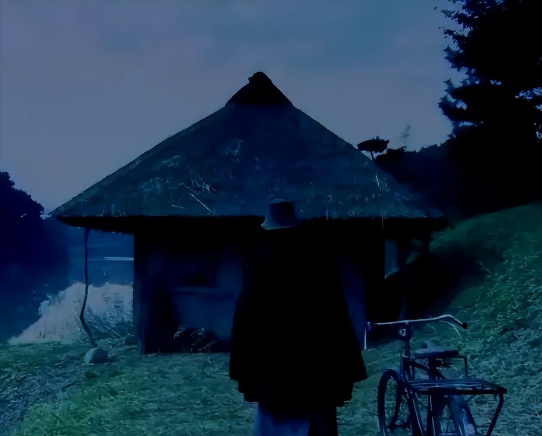 In the isolated village, the secrets of the star singer's family are ...