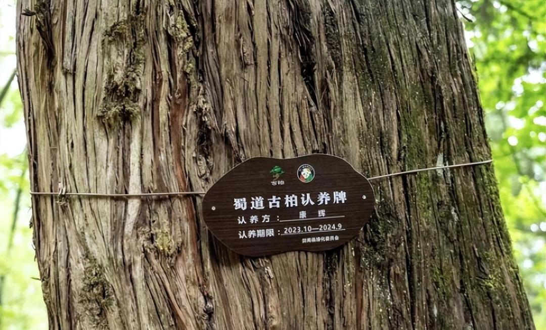 Kang Hui: Amazing transformation! I actually became the top host of ...