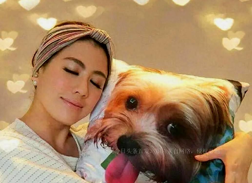 The word "miserable" explains the first half of 46-year-old Chen ...