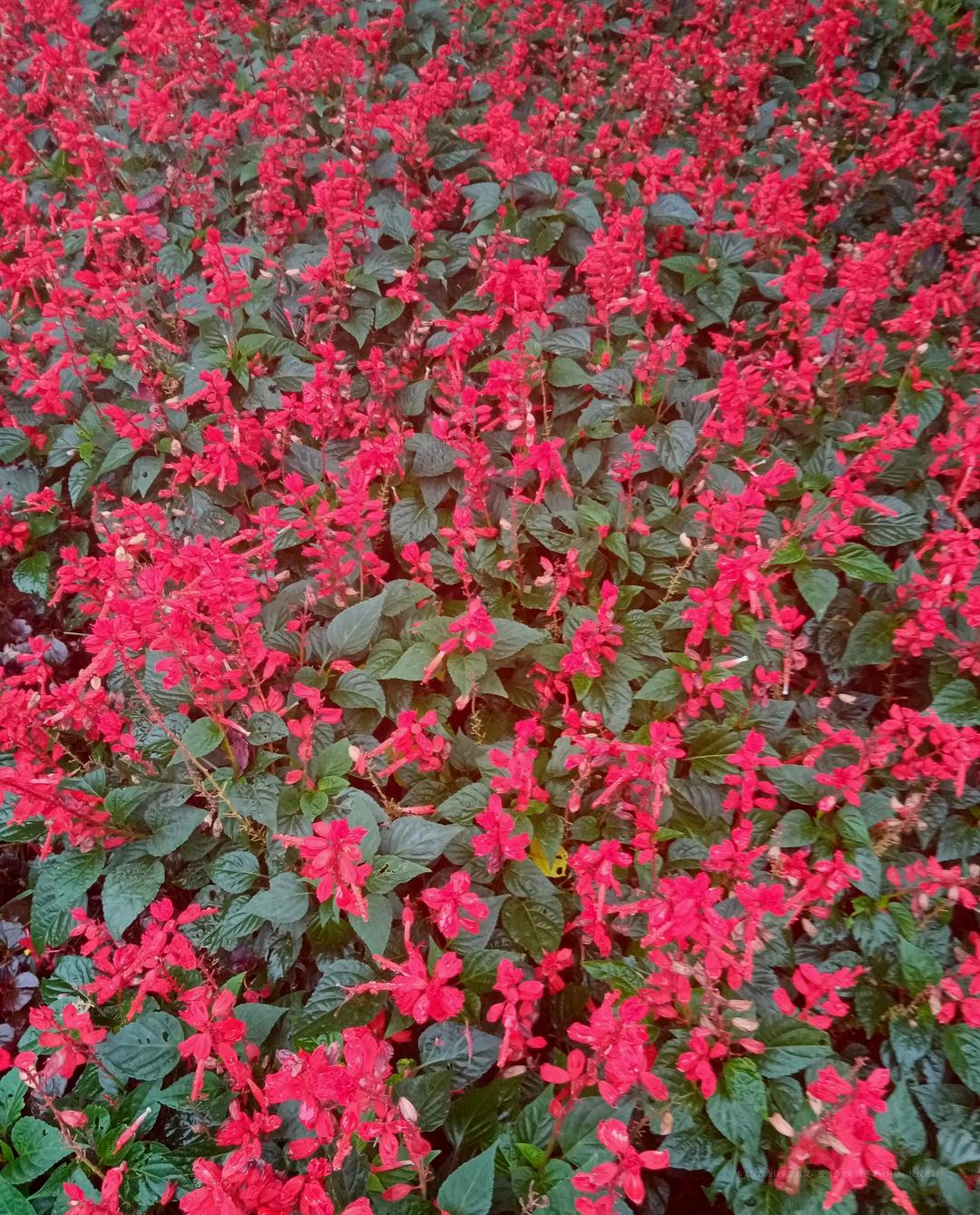 Thirty years in the music industry, among these ten singers who have ...