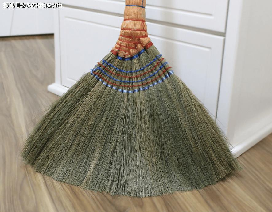If you don't put 3 brooms, your descendants will be rich. If you don't ...