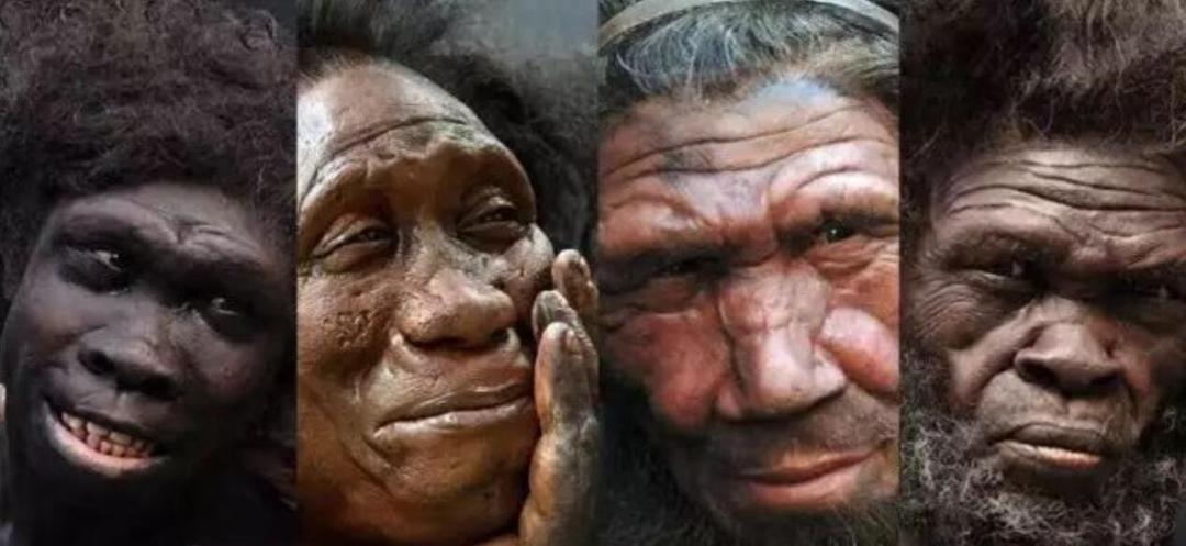 How did the first person appear? Obviously after the extinction of the dinosaurs, there were no ...