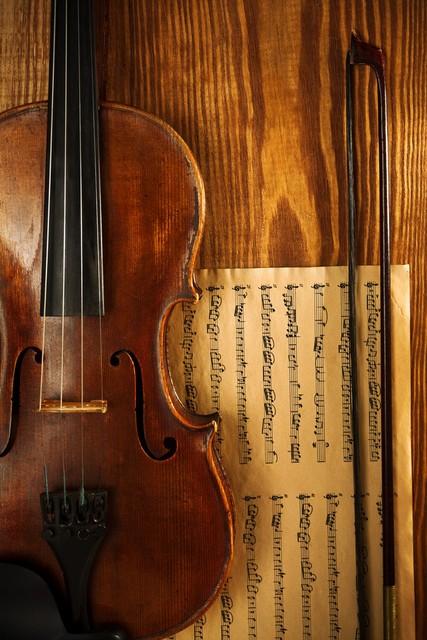 The manufacture of wooden musical instruments in fifteenth-century ...