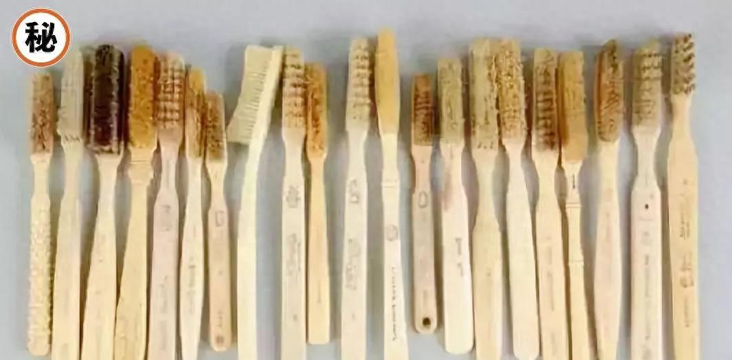 Historical knowledge: "The world's first toothbrush" was actually ...