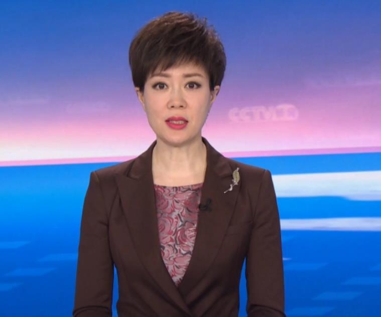 49-year-old CCTV female host Li Wenjing: Still insisting on Dink, she ...
