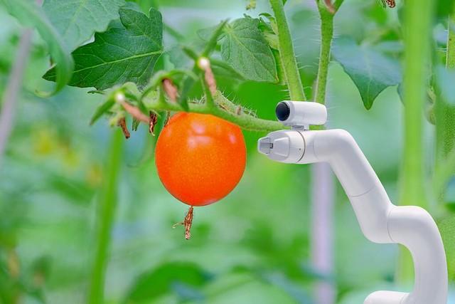 Explore the future of health: Artificial intelligence electrode body ...
