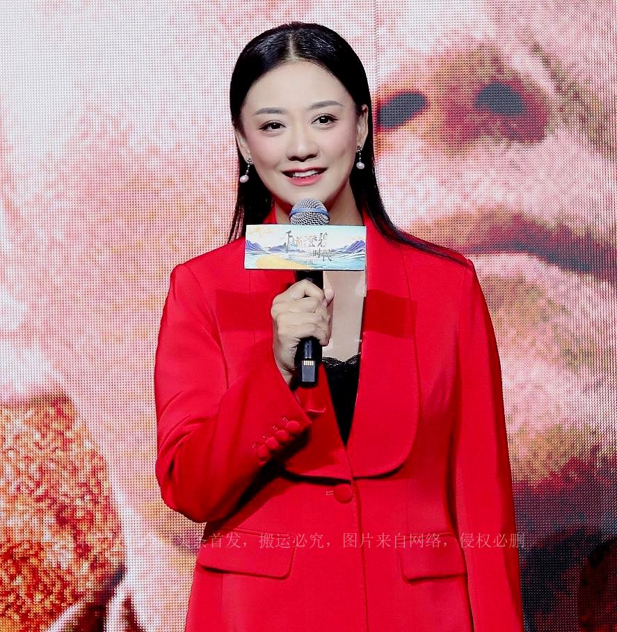 Actor Su Li: She is good-looking and good at acting, she is low-key and ...