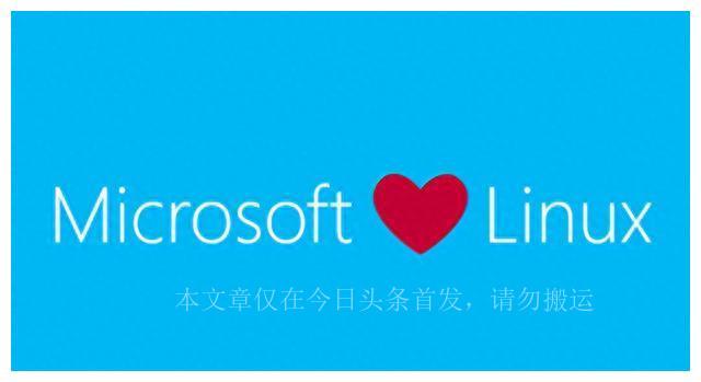 A slap in the face! Microsoft actually released its own Linux - iMedia