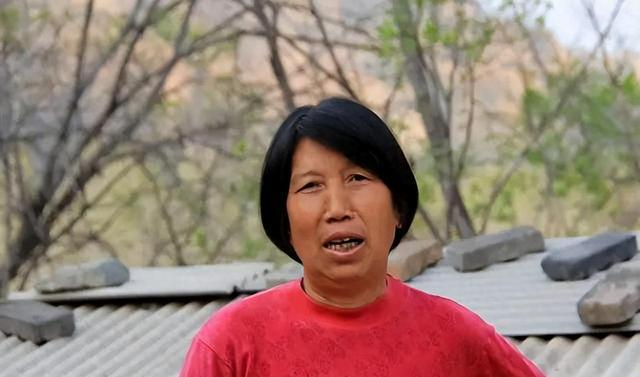 Li Jingwen and Mao Lin, one missed her career because of her marriage ...