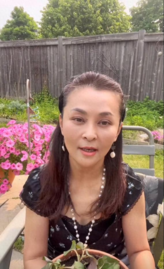 National first-class actor He Yin settles in Canada! Traveling around ...