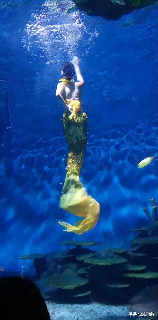 Exploring the magical journey of fairy tale classics: the charm and ...