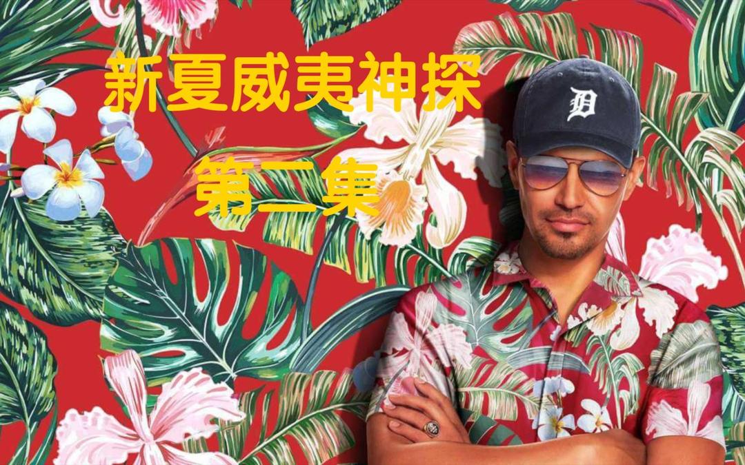 Hawaiian Detective: The Thrilling Season 1 - iMedia