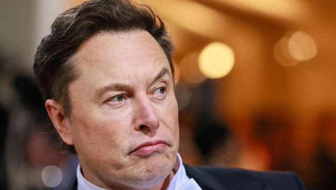 Musk: The human mission behind simple life - iMedia