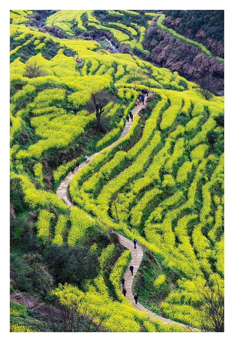 The real "Utopia", the most beautiful flower town in China, has amazed ...