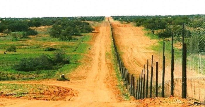 20 "strange facts" in the world, each of which may refresh your ...