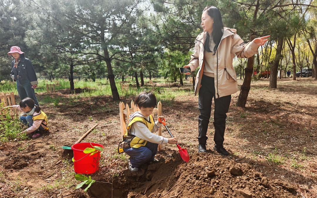 The North China leopard's activity range is only 20 kilometers away ...