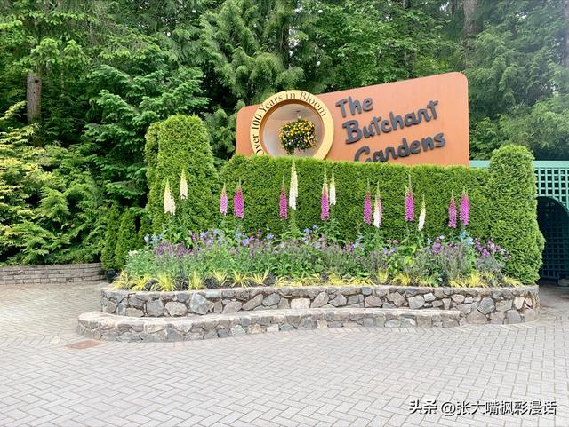 Garden on Ruins - Butchard Gardens - iMedia