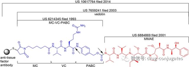 Analysis of global patent layout of linker and payload of Tisotumab ...
