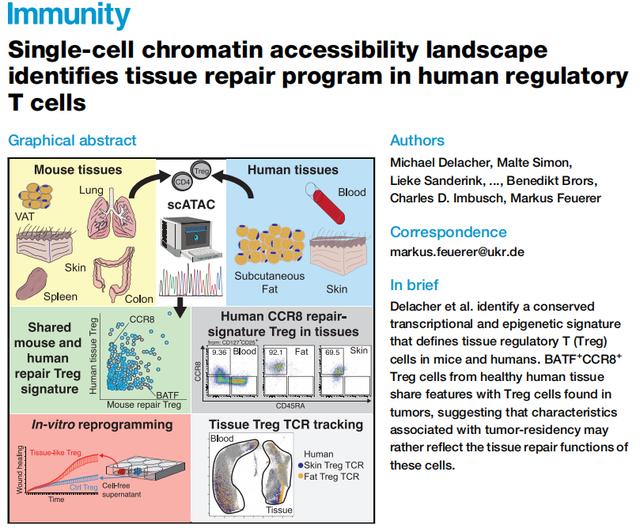 Identification of human regulatory T cell tissue repair programs using ...