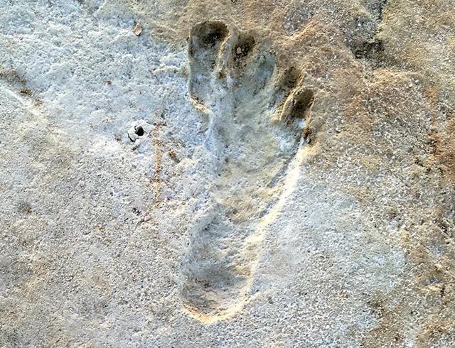 88 "ghost footprints" were discovered in the United States, left 10,000 ...