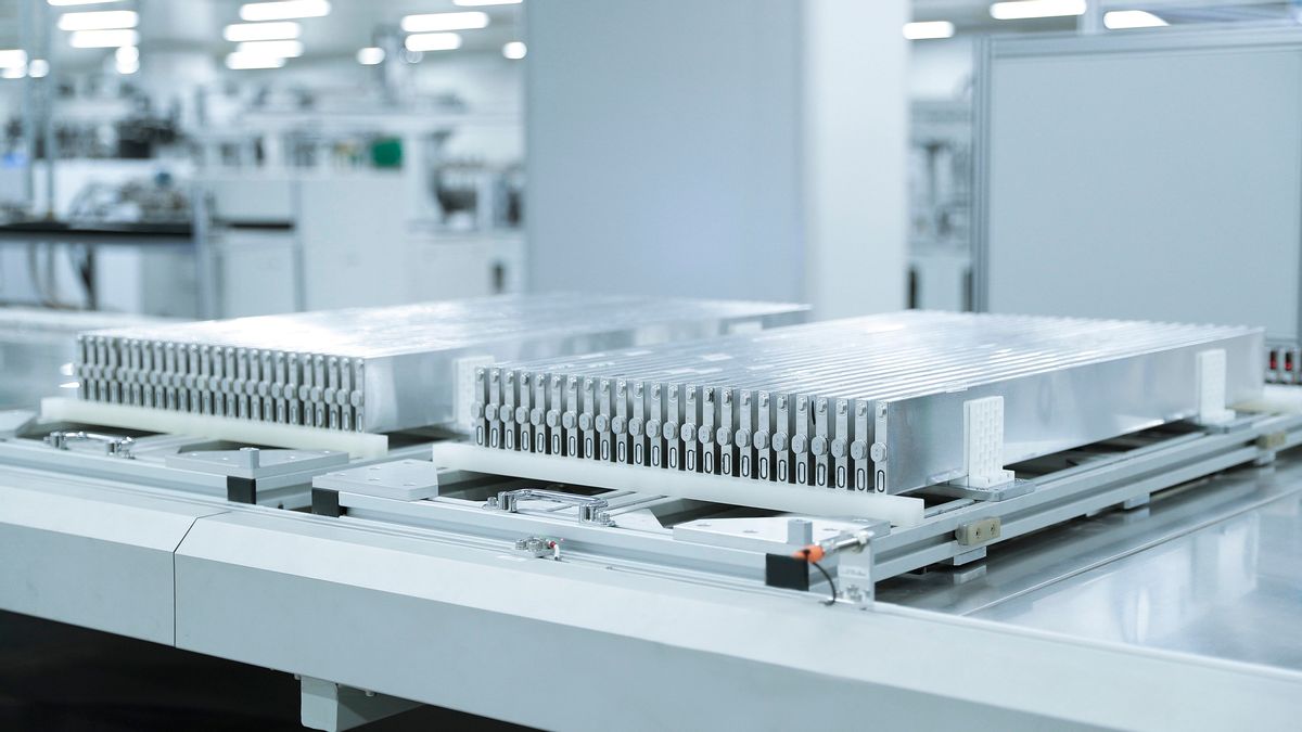 Can't tell the difference between CTM, CTP, CTC, and CTB? Learn the ...