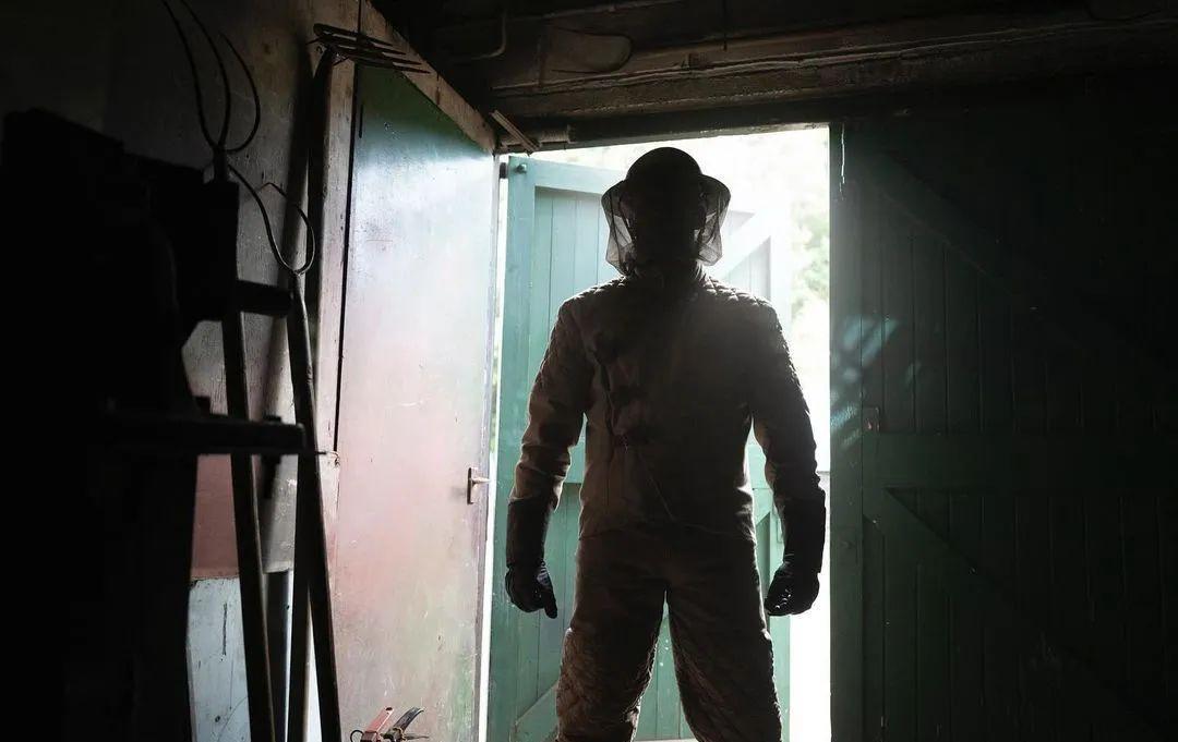 "The Beekeeper": The Bad Man's Version of "All or Nothing" is quite fun ...
