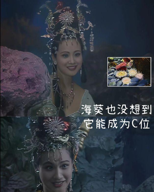 Oh my god, when I saw Princess Halloween with a head full of seafood, I ...