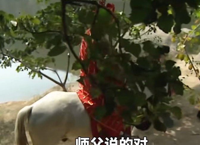 Sha Seng debuts as the center? 50 hidden jokes, how difficult is "81 ...