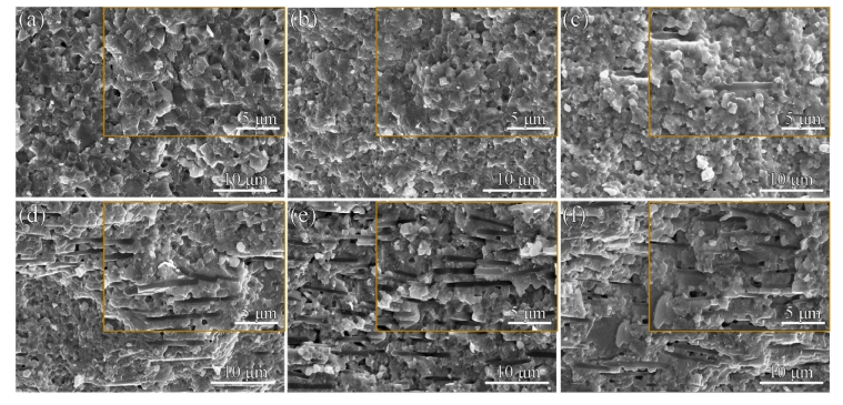DLP technology studies the high strengthening efficiency of textured ...