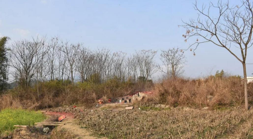 Crows fall from the sea at the Xie family's Yixin cemetery in Pitou ...