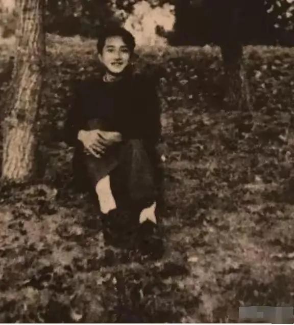 Sun Daolin: Movie Legend in the Tears of Dusk - iMedia