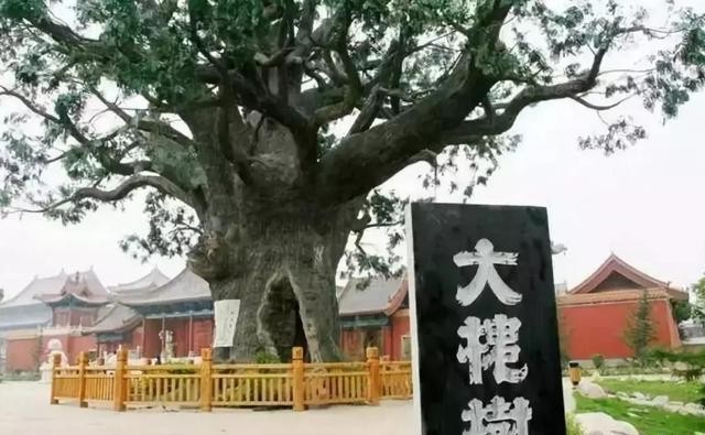 If you have two toenails on your little toe, you may not be a pure Han ...