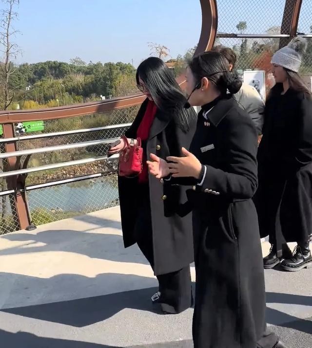 Li Xiang, Wang Yuelun and their family of three visit the Yueyang Panda ...