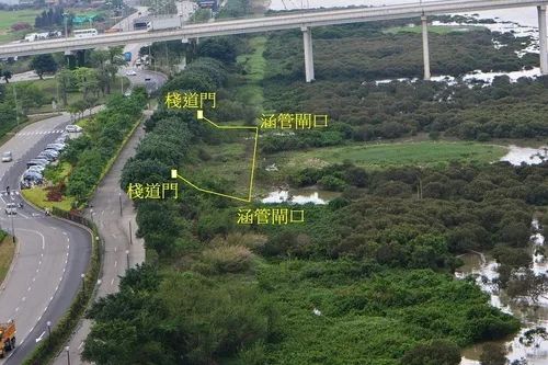 Walking with green │ Feel the beauty of Cotai Ecological Reserve - iNEWS