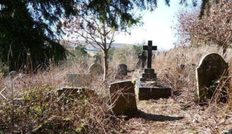 "I would rather sleep at night in a desolate graveyard than in an ...